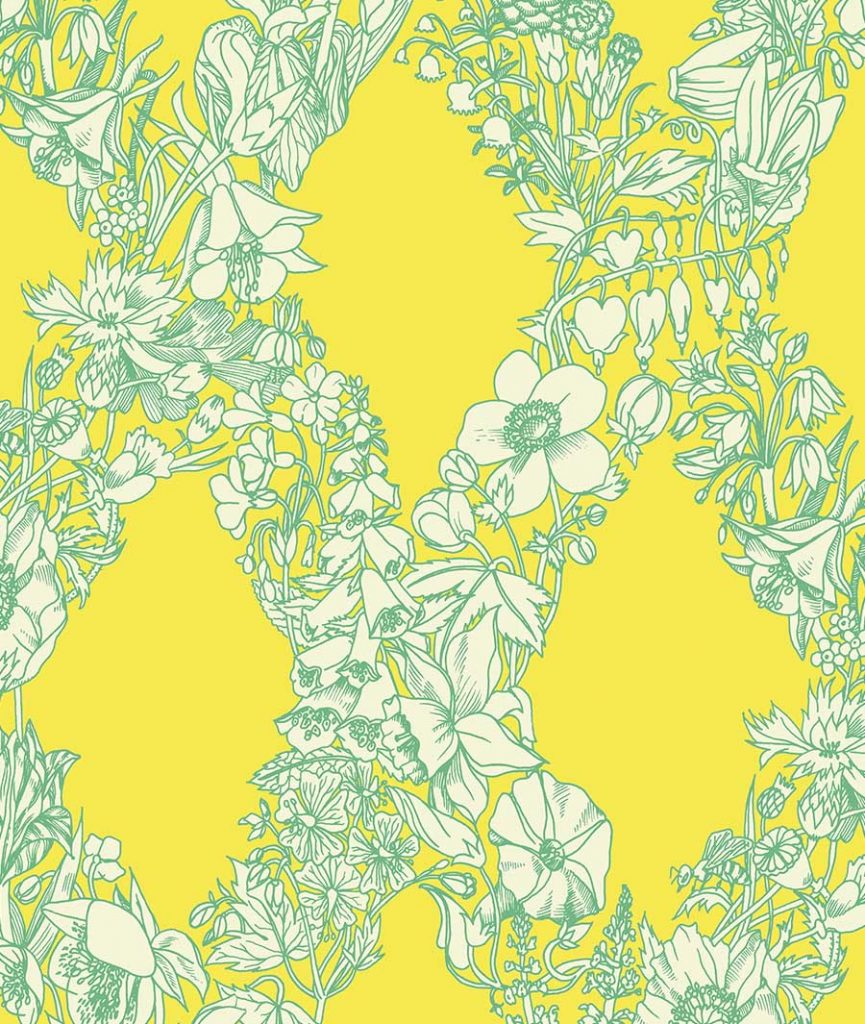 Agnes Toth Studio | The Artist